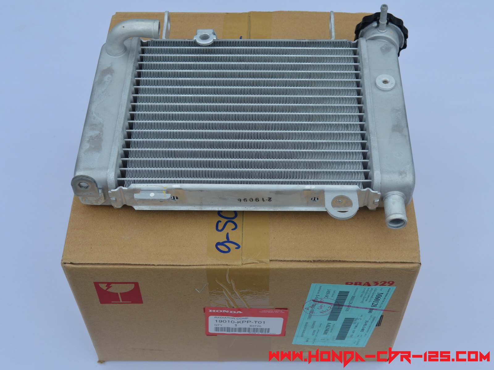 Racing Honda CBR 125 - 150 water cooler racing radiator, oil pump